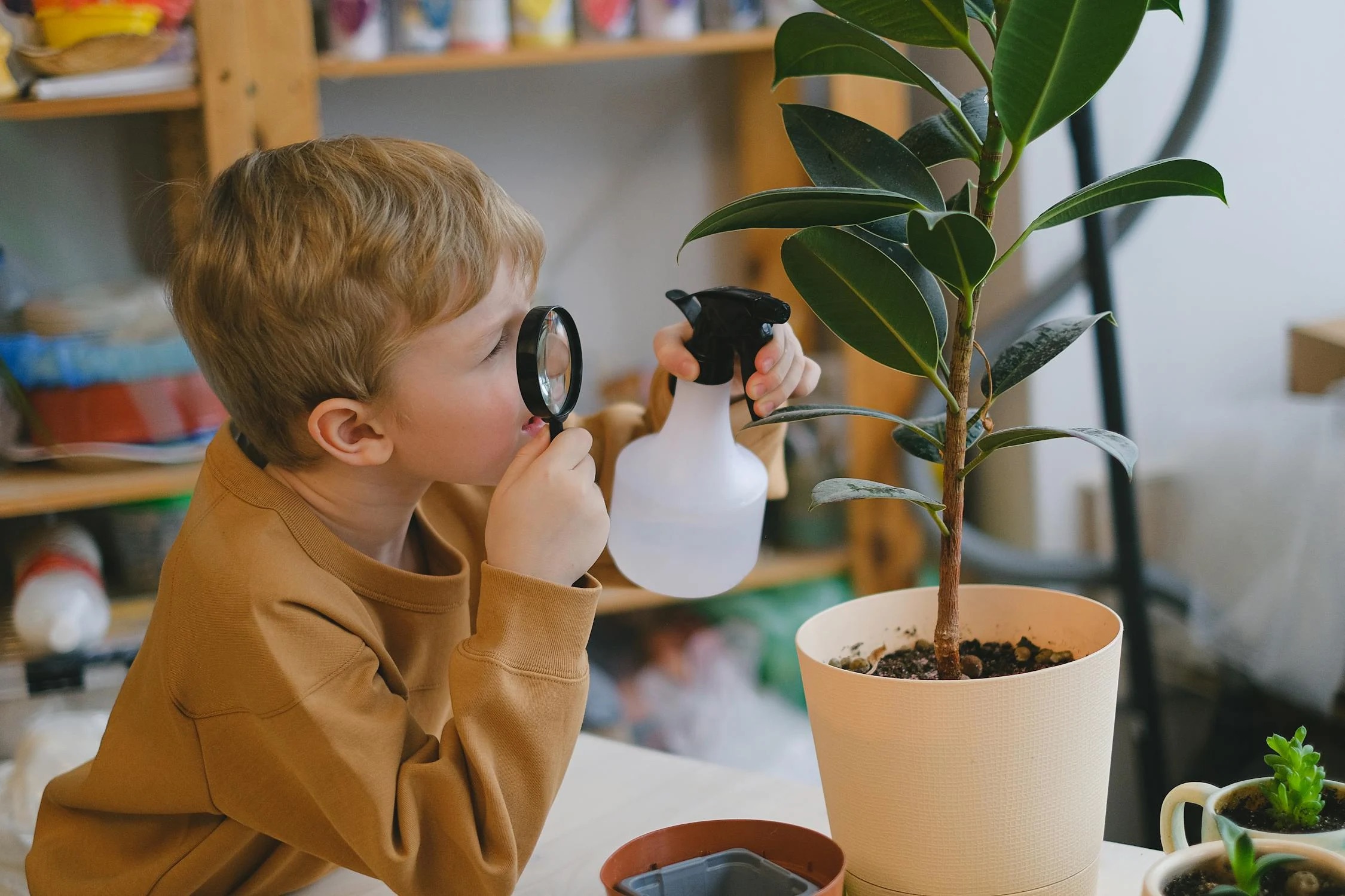 Why Do Kids Need to Spend More Time Learning Science? – Ignite