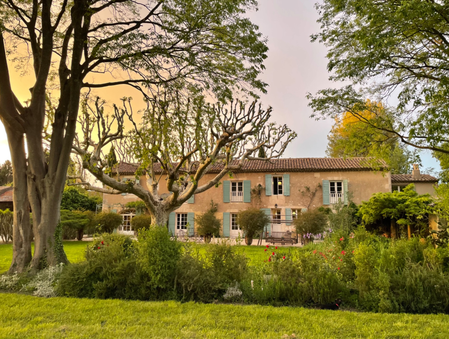 Mas Provençal authentique