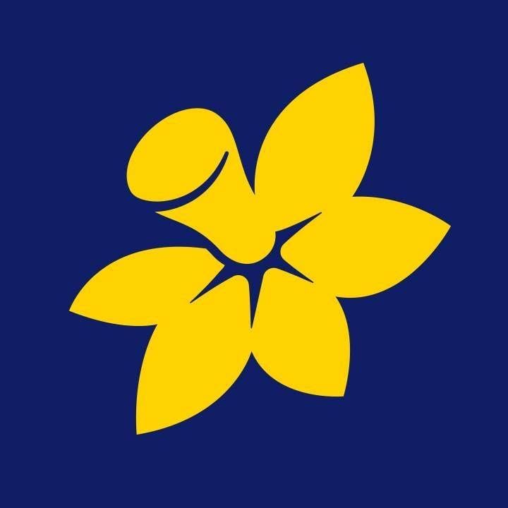 Vote for Cancer Council Victoria — it's free and helps them share ...