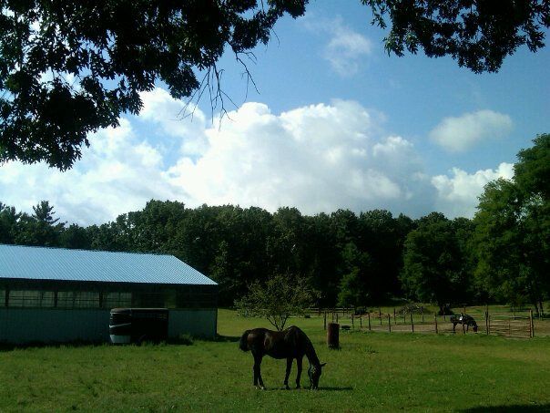 Vote for The Joy of Jasper, Inc.