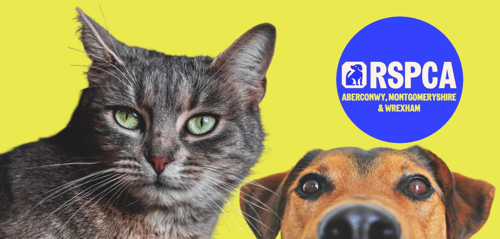 Vote for RSPCA Aberconwy, Montgomeryshire & Wrexham