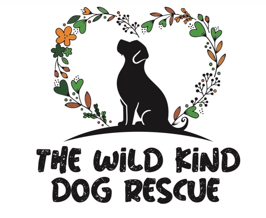 Vote for The Wild Kind Dog Rescue — it's free and helps them share £ ...