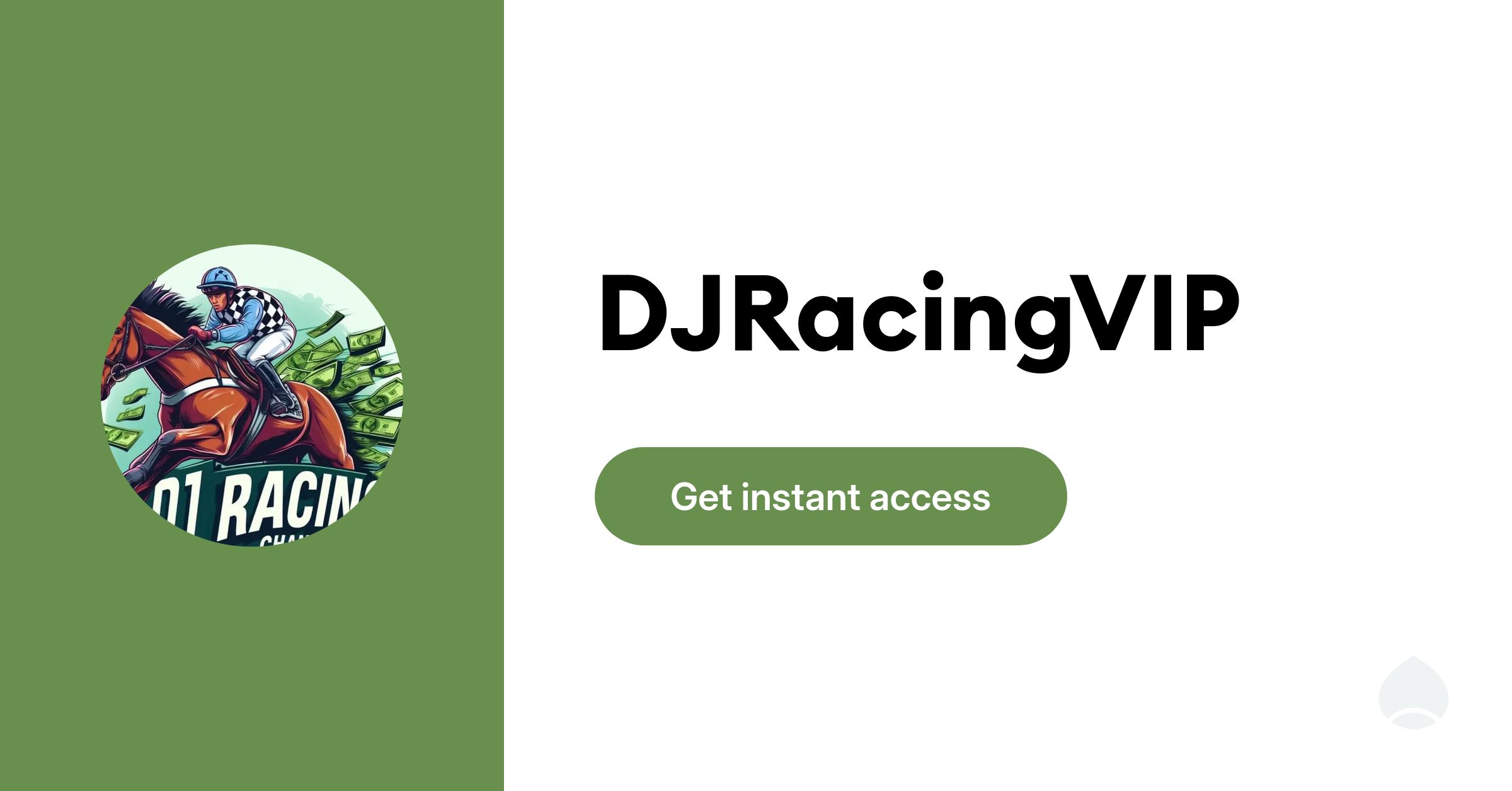 DJRacingVIP